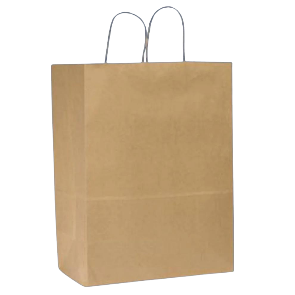 10x5x13 KRAFT PAPER SHOPPING BAG WITH HANDLE 250CT – PAK ONE