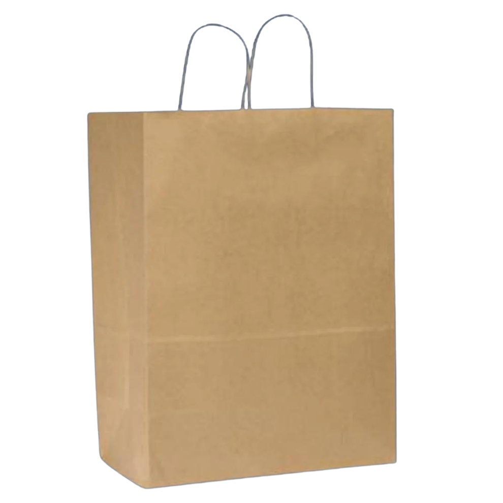 10x7x12 KRAFT PAPER SHOPPING BAG WITH HANDLE 250CT – PAK ONE