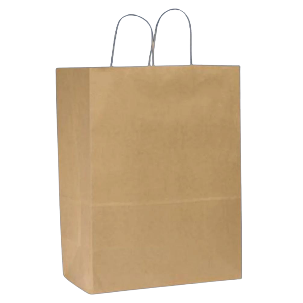 12x7x17 KRAFT PAPER SHOPPING BAG WITH HANDLE 250CT – PAK ONE